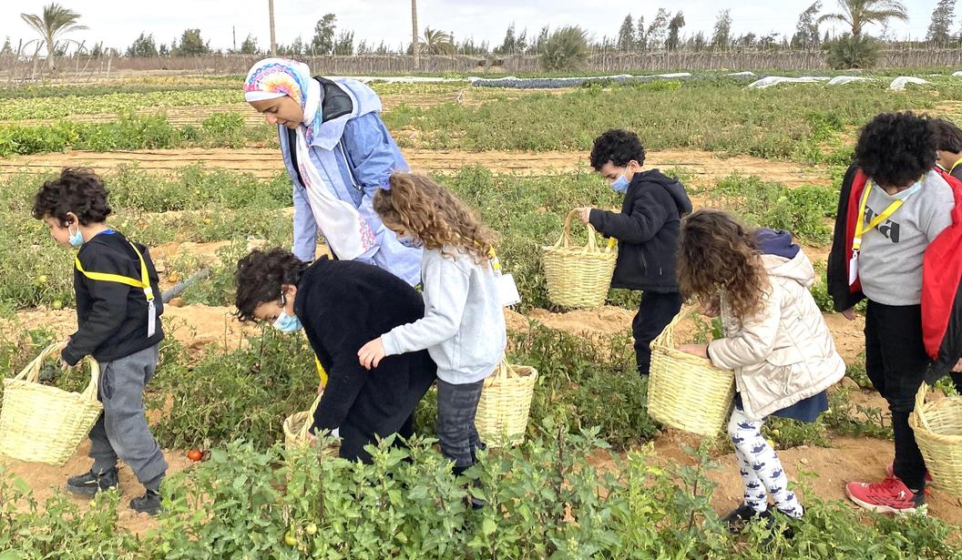 Daily Activities To Fill Your Midterm Break (For Less $)