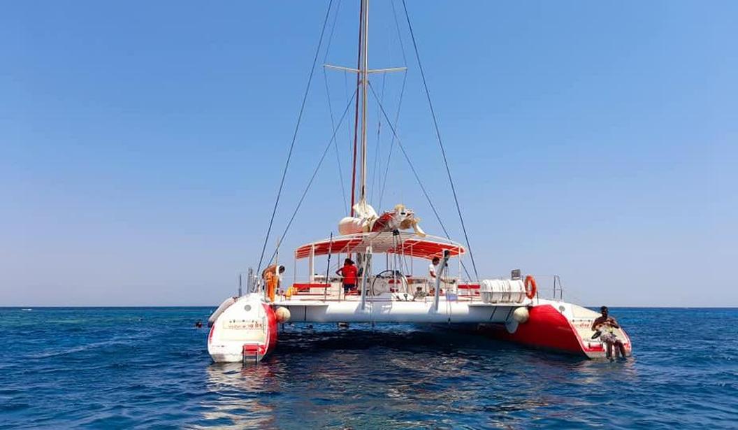 Catamaran Ocean Diva Boat Trip | Kidzapp