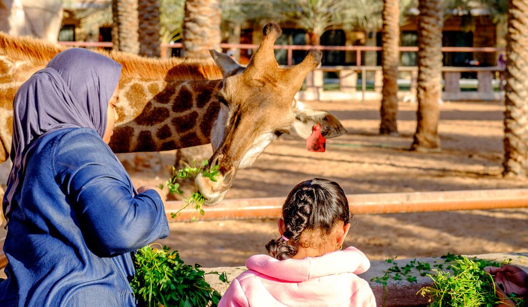 Emirates Park Zoo | Kidzapp